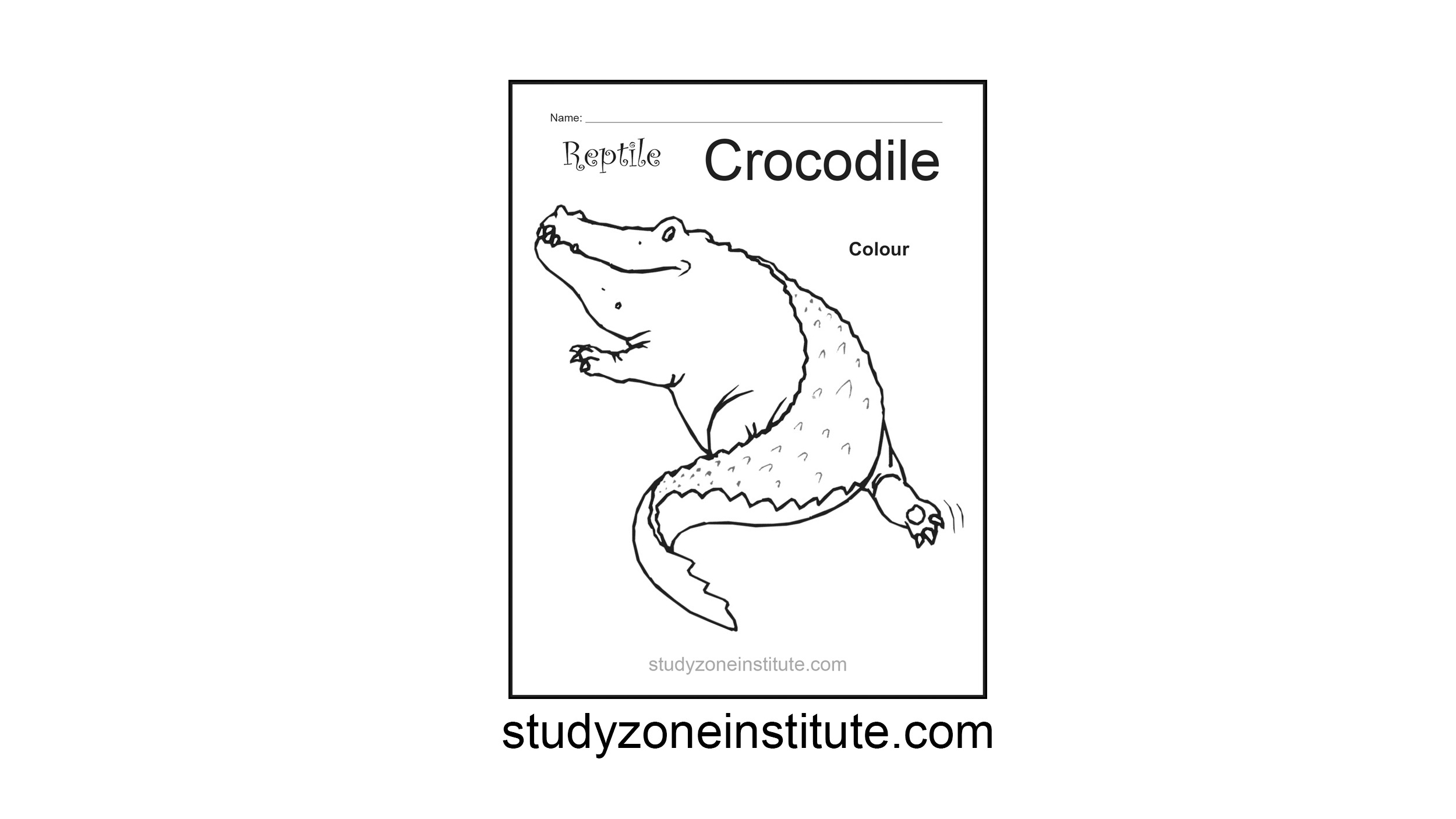Crocodile the reptile: Download FREE worksheet on this animal group ...