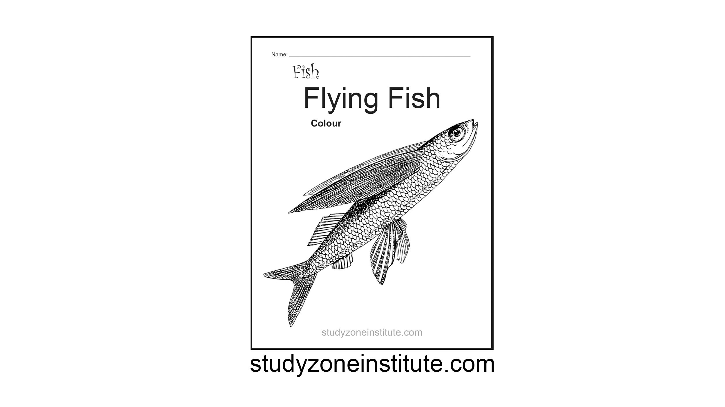 Flying fish worksheet: Download FREE activity on the fish animal group ...