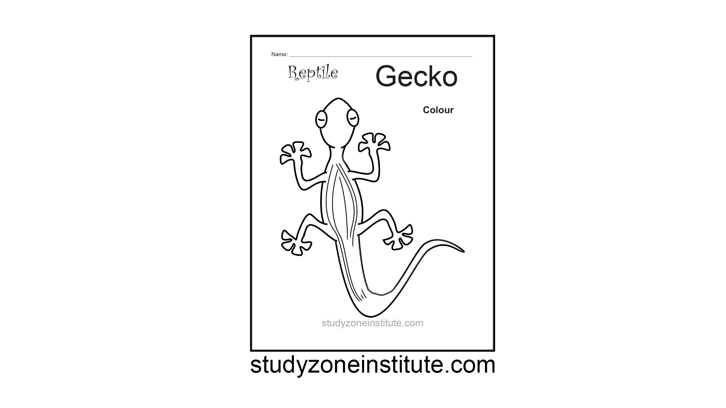 Gecko the reptile: Download FREE worksheet on this animal group - Study ...