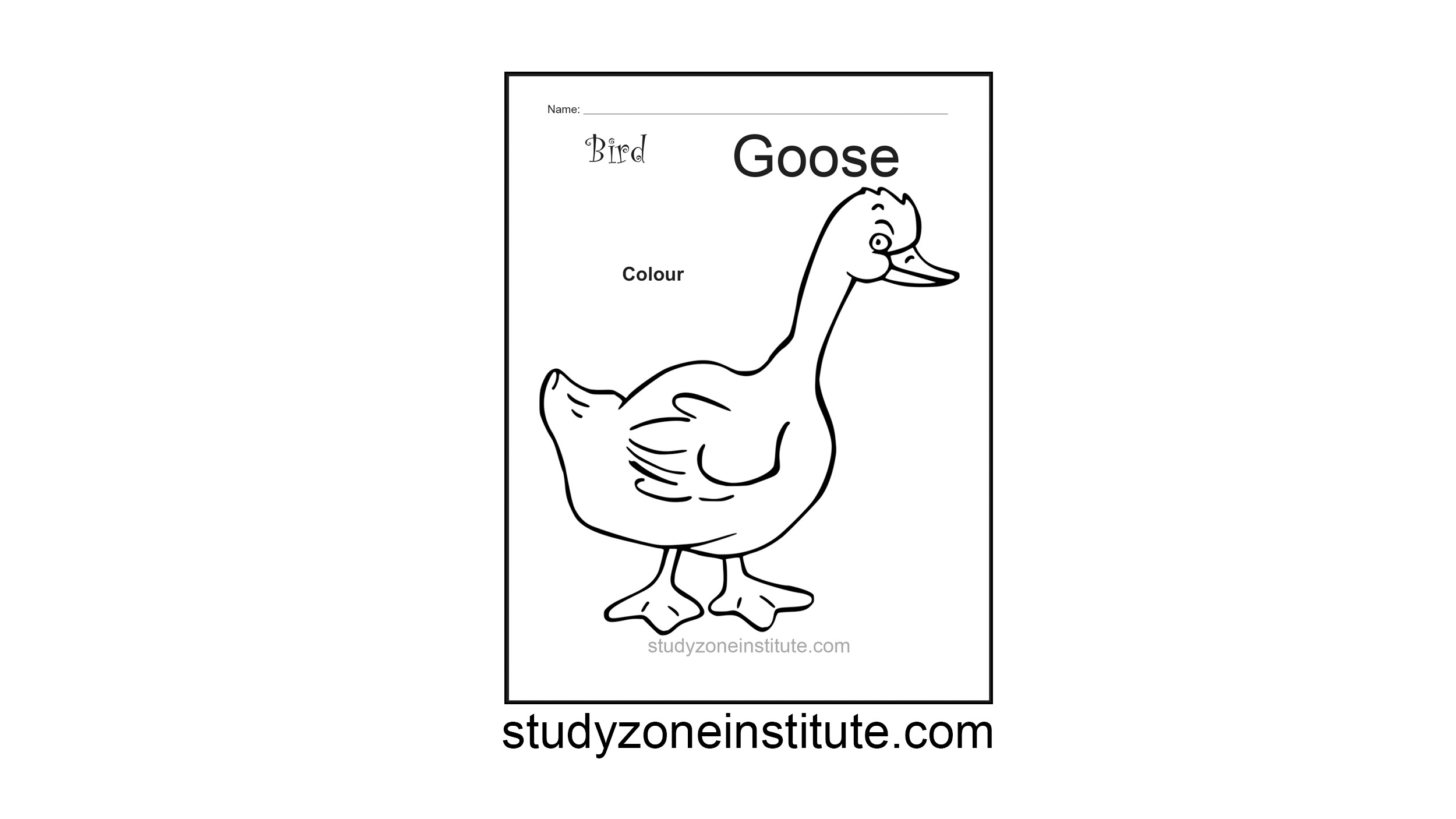 Goose the bird: Download FREE worksheet on this animal group - Study ...