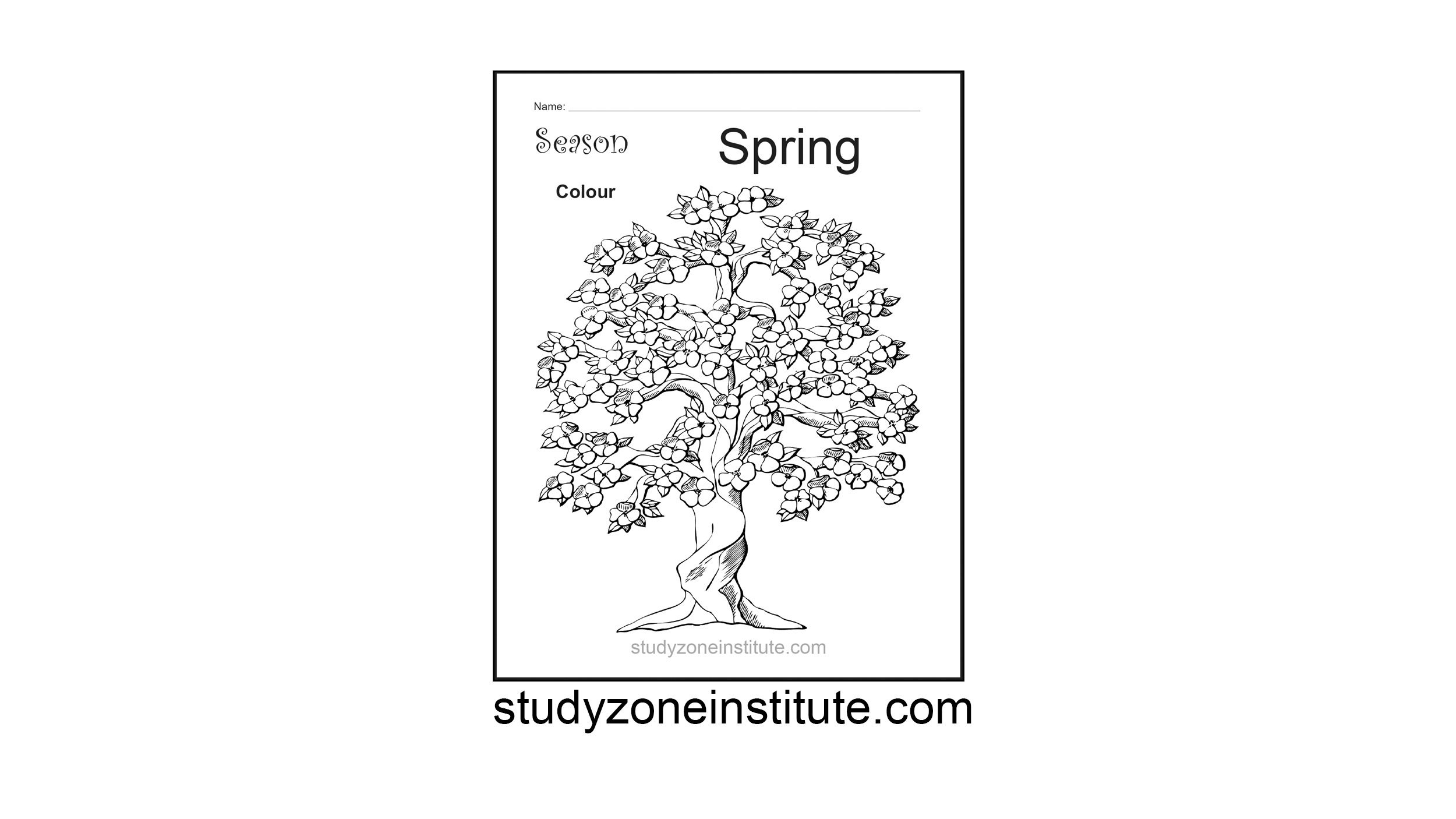 Spring worksheet: Download FREE activity on this season - Study Zone ...